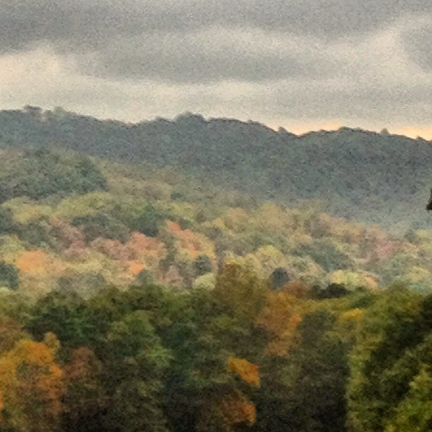 An overcast Oct sky with the leaves getting closer to peaking. Is Fall ...