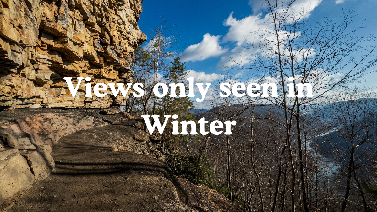 Views That Can Only Been Seen in Winter - Visit Southern West Virginia